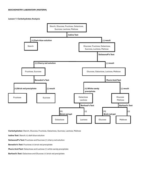 Biochem Lab Midterm Pdf Detergent Soap