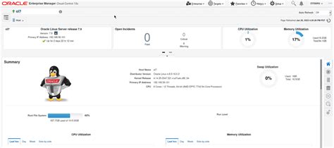 How To Monitor Oracle Dbs On Docker Containers With Em 13c
