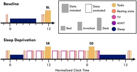 The Theta Paradox 4 8 Hz Eeg Oscillations Reflect Both Sleep Pressure