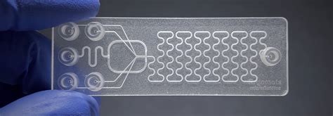 What Are The Advantages Of 3d Printing With Microfluidics Ergometa