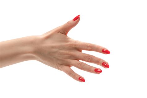 창백한 피부와 빨간 손톱이 가리키거나 만지는 여성 손의 근접 촬영 가리키기에 대한 스톡 사진 및 기타 이미지 가리키기 개념 디자인 Istock