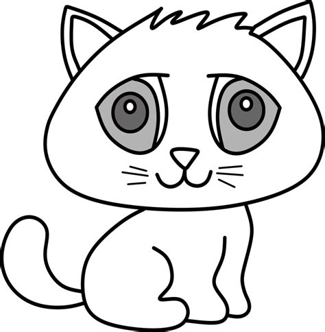 Cat With Big Eyes 22603587 Png