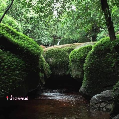 บึงกาฬทูเดย์ บึงกาฬทูเดย์ Added A New Photo