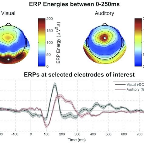 Experiment I Results Event Related Potentials A Regions Of Interest