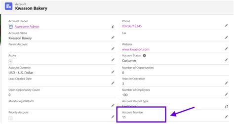 6 Common Salesforce Data Loader Errors And How To Avoid Them
