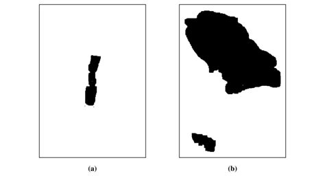 the extracted stem a and leaf b blobs download scientific diagram