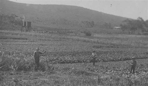 A Brief History Of The Mt Compass District