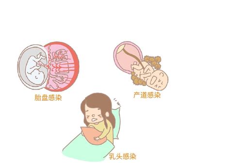 简单有趣，三分钟看懂，乙肝母婴阻断和疫苗接种流程 知乎