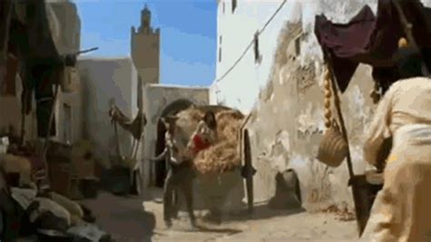 Longest Ever Whip Crack Makes Indiana Jones Look Small Time Metro News