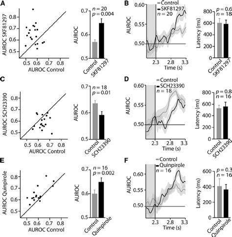 Modulation Of Neuronal Rule Coding By Dopamine Receptors A Download Scientific Diagram