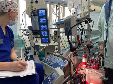 Efferon Lps Intraoperative Hemoadsorption Integrated In The