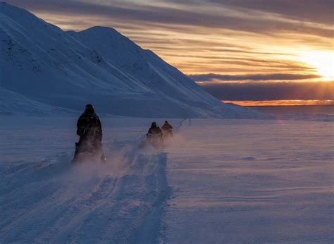 Danielle Bochove Why Global Warming Is Sending The Arctics Vital