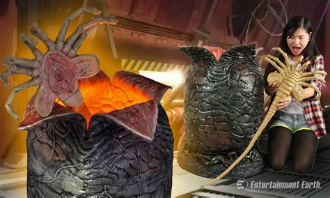 Xenomorph Alien Egg And Facehugger Replica Alien Replica Coolprops