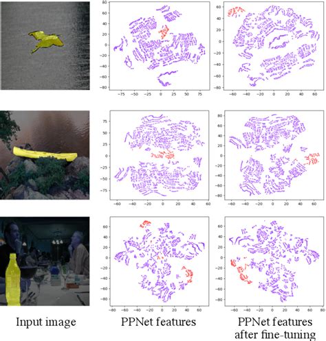 Figure 1 From Cross Domain Few Shot Segmentation With Transductive Fine Tuning Semantic Scholar