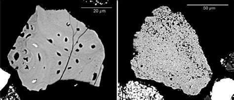 Suspect Authigenic Apatite Grains From Jurassic Sandstone 1 With Many