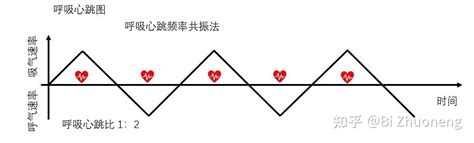 呼吸心跳频率共振法 知乎