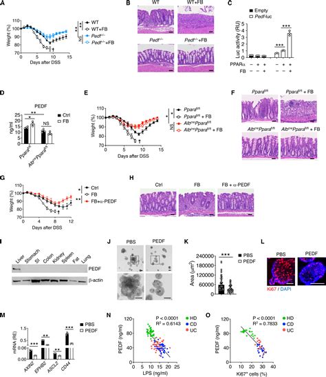 Gut Liver Axis Calibrates Intestinal Stem Cell Fitness Cell