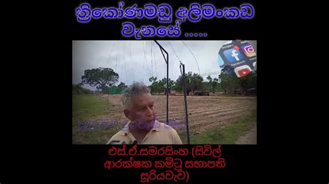 ත්‍රිකෝණමඩු ස්වභාව රක්ෂිතයේ වන සංහාරයේ අලුත්ම තත්ත්වය Youtube