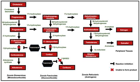 Severe Posaconazole Induced Glucocorticoid Deficiency With Concurrent