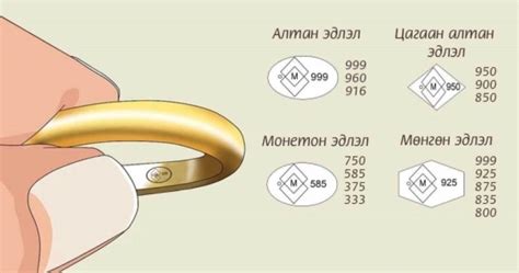 Шива Энэтхэг бараа захиалга худалдаа Зааны толгойн дүрстэй 3 эгнээ хясаан шигтгээтэй цэвэр