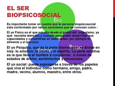 Que Es El Desarrollo Biopsicosocial Arbol