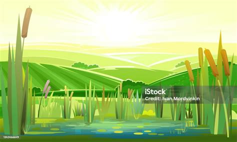 호수 나 강의 늪 해안풍경 해안은 잔디 대지 캣테일로 자라있습니다 야채 정원이있는 시골 언덕 물 백합 잎물 야생 연못 벡터 농업에 대한 스톡 벡터 아트 및 기타 이미지