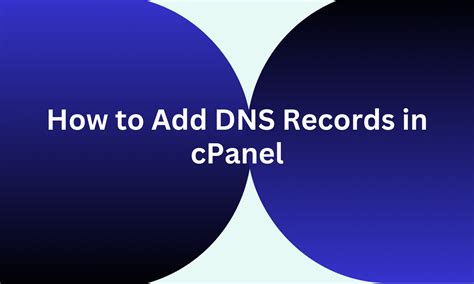 How To Add DNS Records In CPanel SternHost