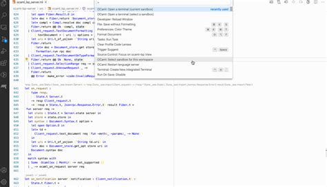 Open A Terminal Current Sandbox Fails With Exit Code 127 · Issue 280 · Ocamllabsvscode