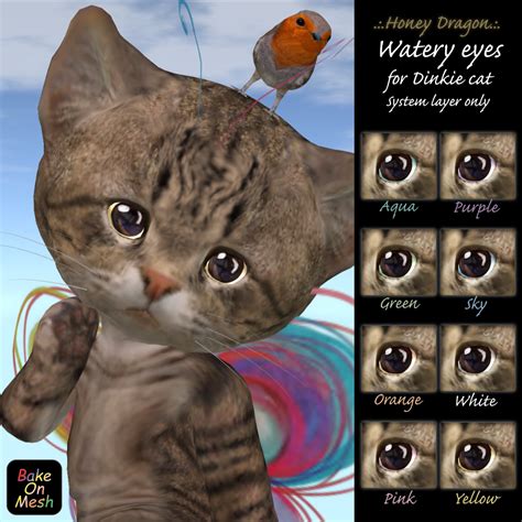 Honey Dragon Watery Eyes For Dinkie Cat