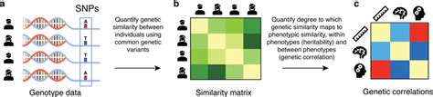 Visualization Of Multivariate Genomic Relatedness Based Restricted
