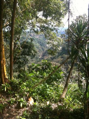 Blog Archive Waking Up In Costa Rica