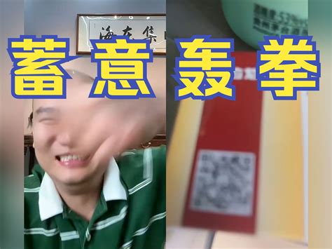 蓄 意 轰 拳 海东鉴宝 海东鉴宝 哔哩哔哩视频