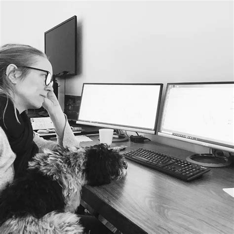 What Does It Mean To Be A Day Trader What Does It Mean To Be A Day Trader