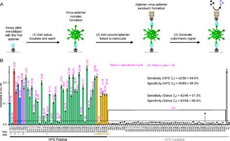 Clinical Evaluation Of The Trimeric Aptamer Assay A Schematic