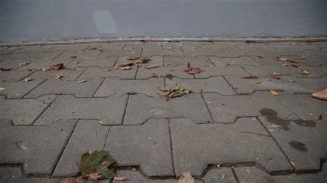 Sexy Girl Walks Along The Pavement On St Stock Video Pond5