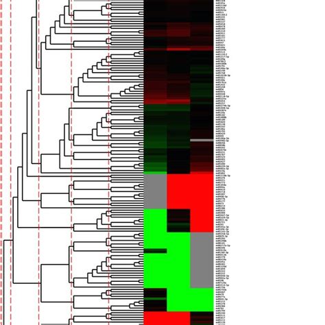 Heatmap Of Differential Expression Analysis And Cluster Analysis Of 228