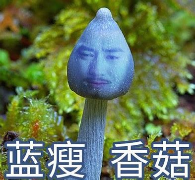 蓝瘦香菇什么意思 蓝瘦菇 大山谷图库