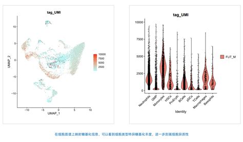 技术服务 新格元生物科技