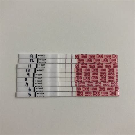 난임부부이야기 시험관아기 2차 동결배아 이식 성공 Feat 이식 후 임테기 시기 공유 중요 네이버 블로그