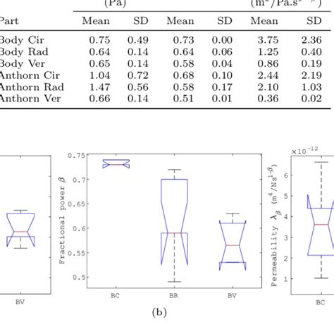 Material Properties Comparison In Different Orientations In The Body