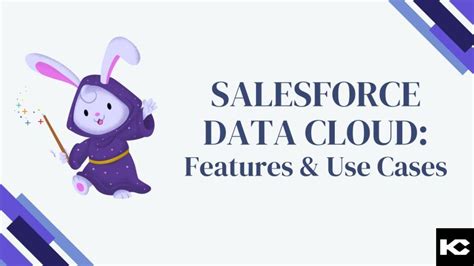 Salesforce Data Cloud Features And Use Cases [2023] Kizzy Consulting