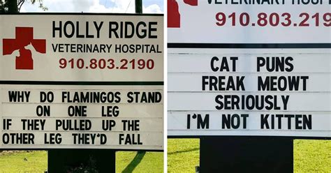 30 Of The Funniest Outdoor Signs From This Vet Hospital To Make You