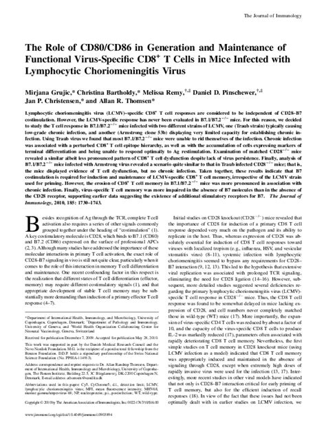 Pdf The Role Of Cd80 Cd86 In Generation And Maintenance Of Functional Virus Specific Cd8 T