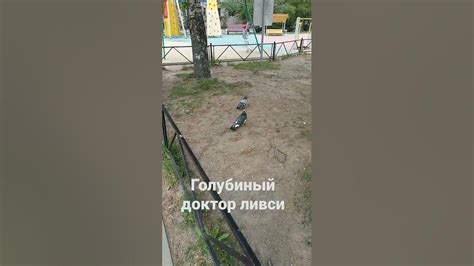 мем почти пропал - YouTube