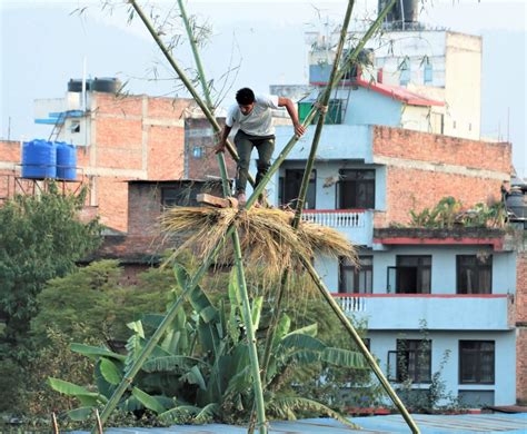 दसैंमा चचहुई गर्दै पिङ्गमा मच्चिनुको छुट्टै आनन्द
