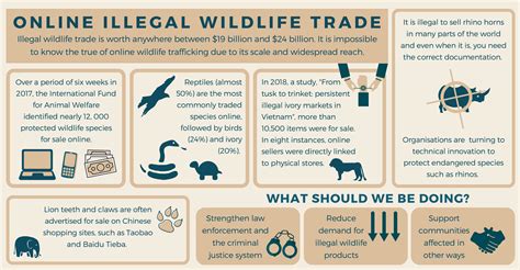 Cyber Sleuths Crack Down On Online Wildlife Crime Oxpeckers