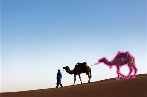 Easy Ways To Rotate A Selection In Photoshop