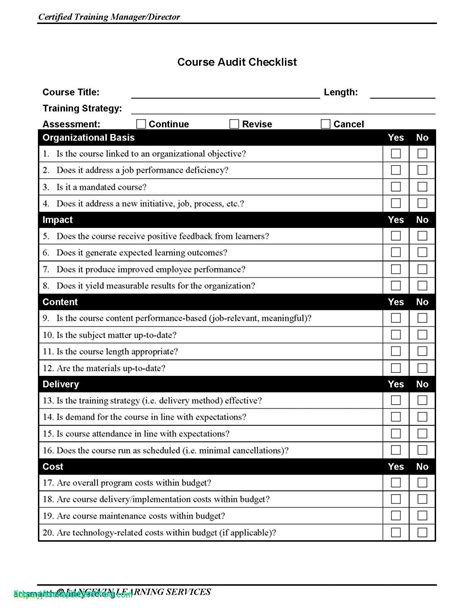 Software Audit Template
