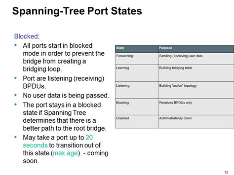 Networking And Scripting Spanning Tree Protocol PPT