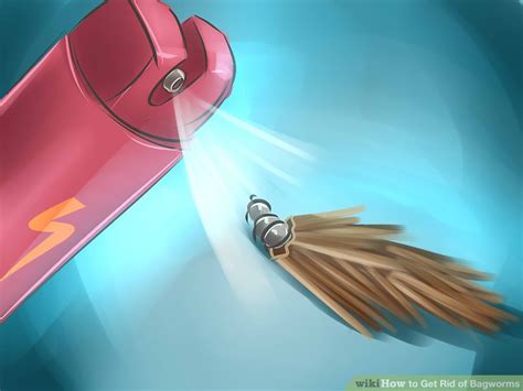How To Get Rid Of Bagworms 14 Steps With Pictures Wikihow